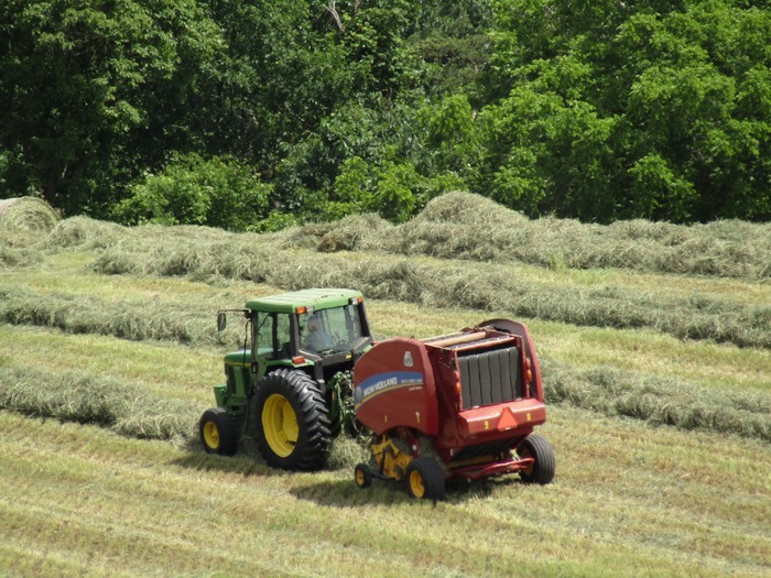 Hay :: Mountain Ridge Farm